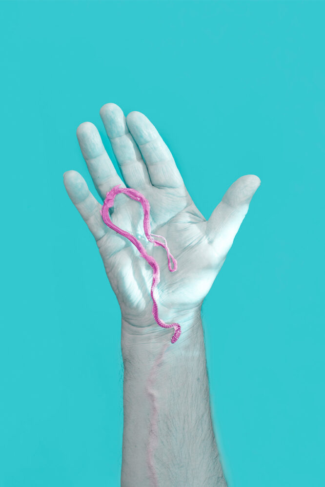 Homo Saurus, fotografie di Noemi Comi — Futuro Arcaico